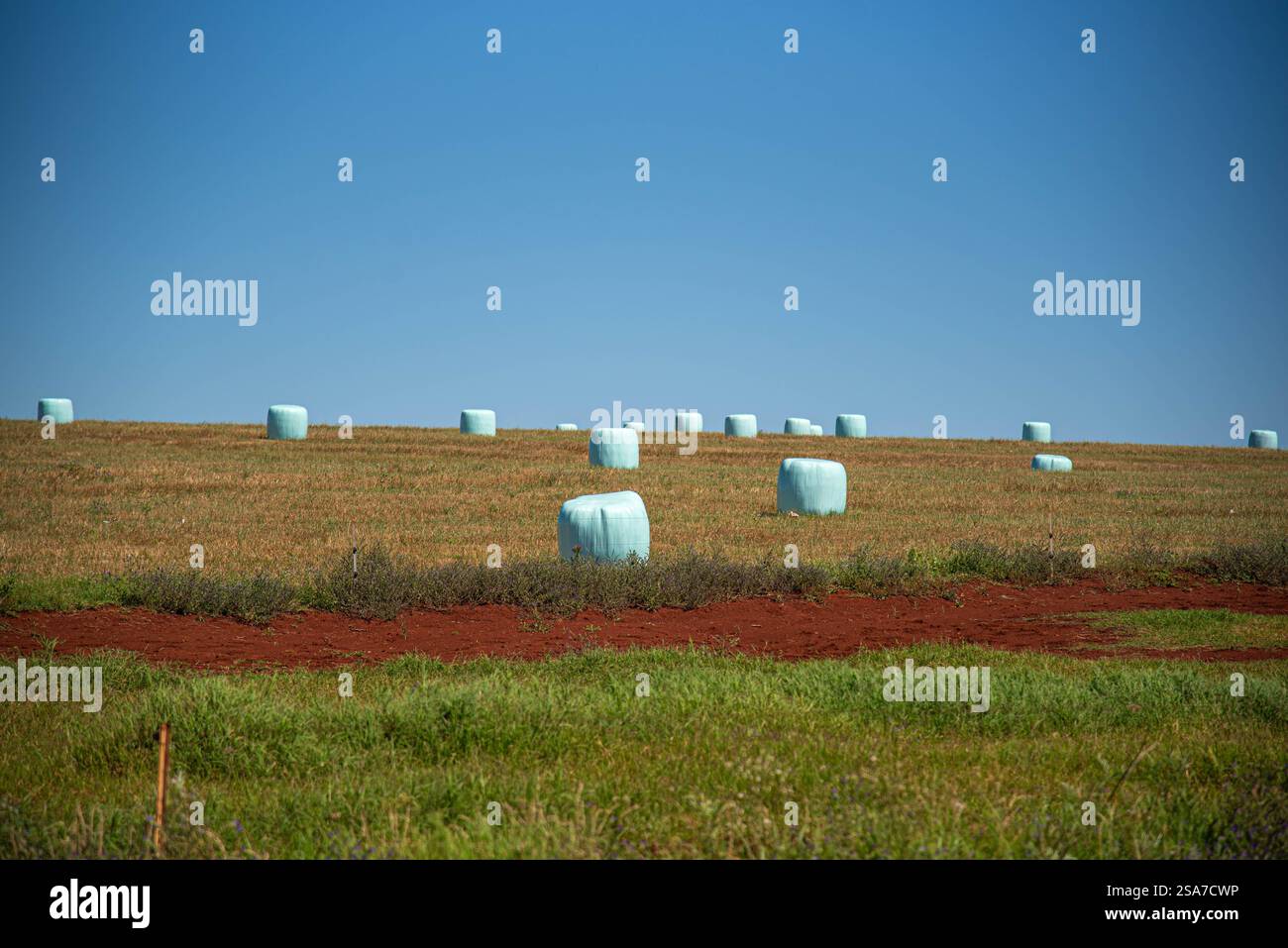 Silage stored in bags hi-res stock photography and images - Alamy