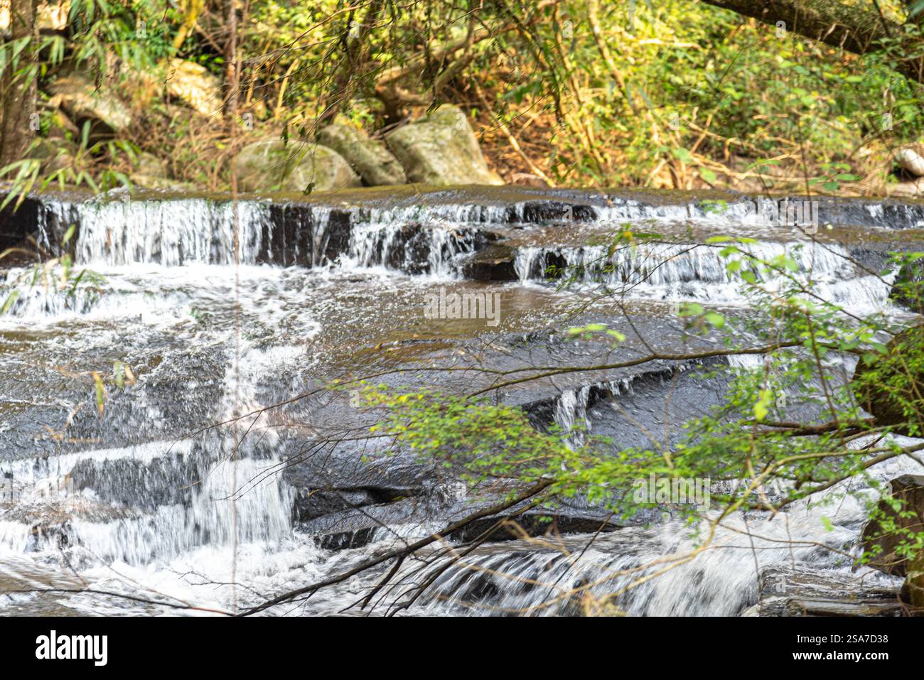 Stone stream in tropical forest in Brazil Stock Photo - Alamy