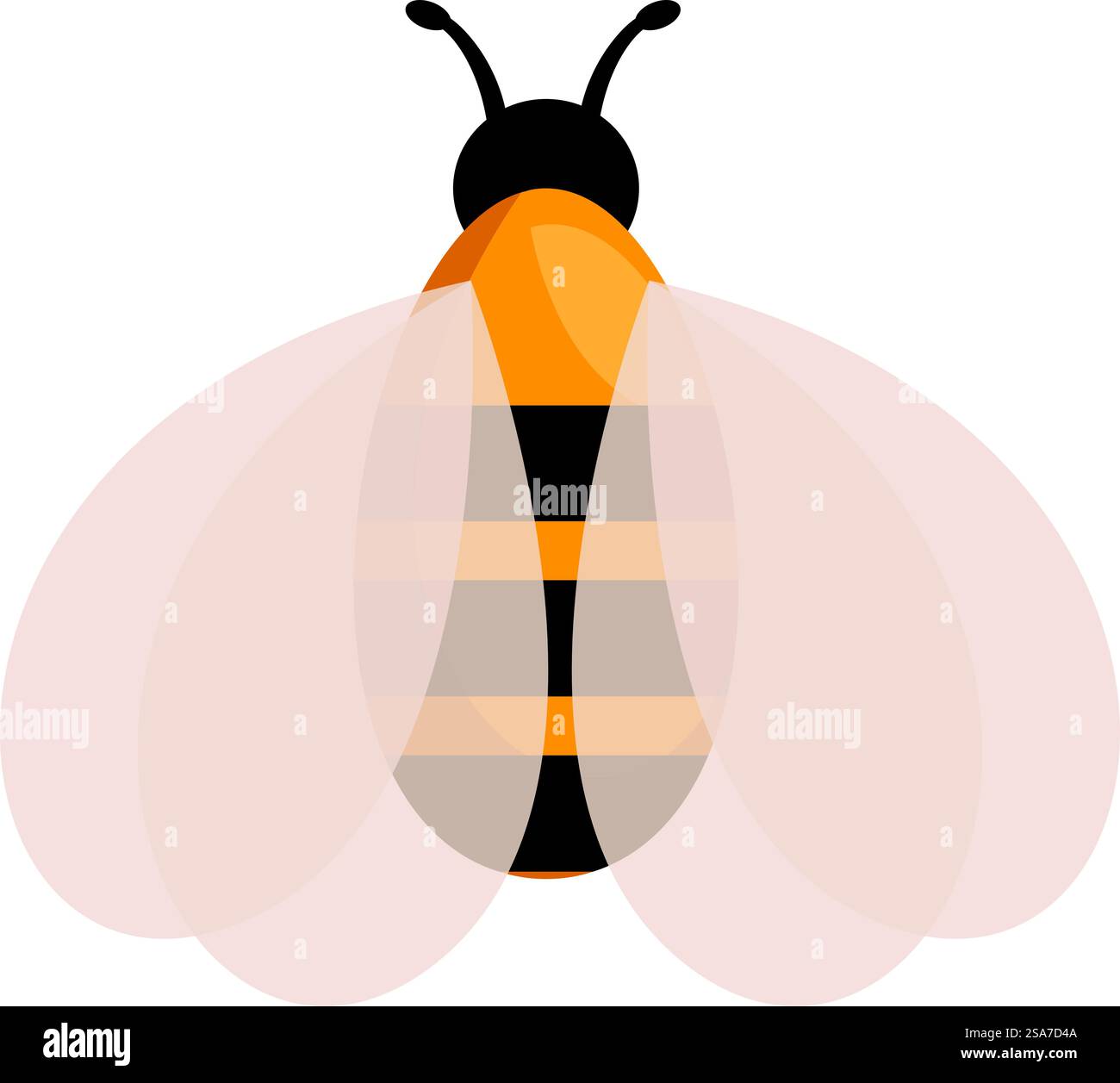 Colorful honeybee is flapping its wings preparing to fly. Honey bee ...