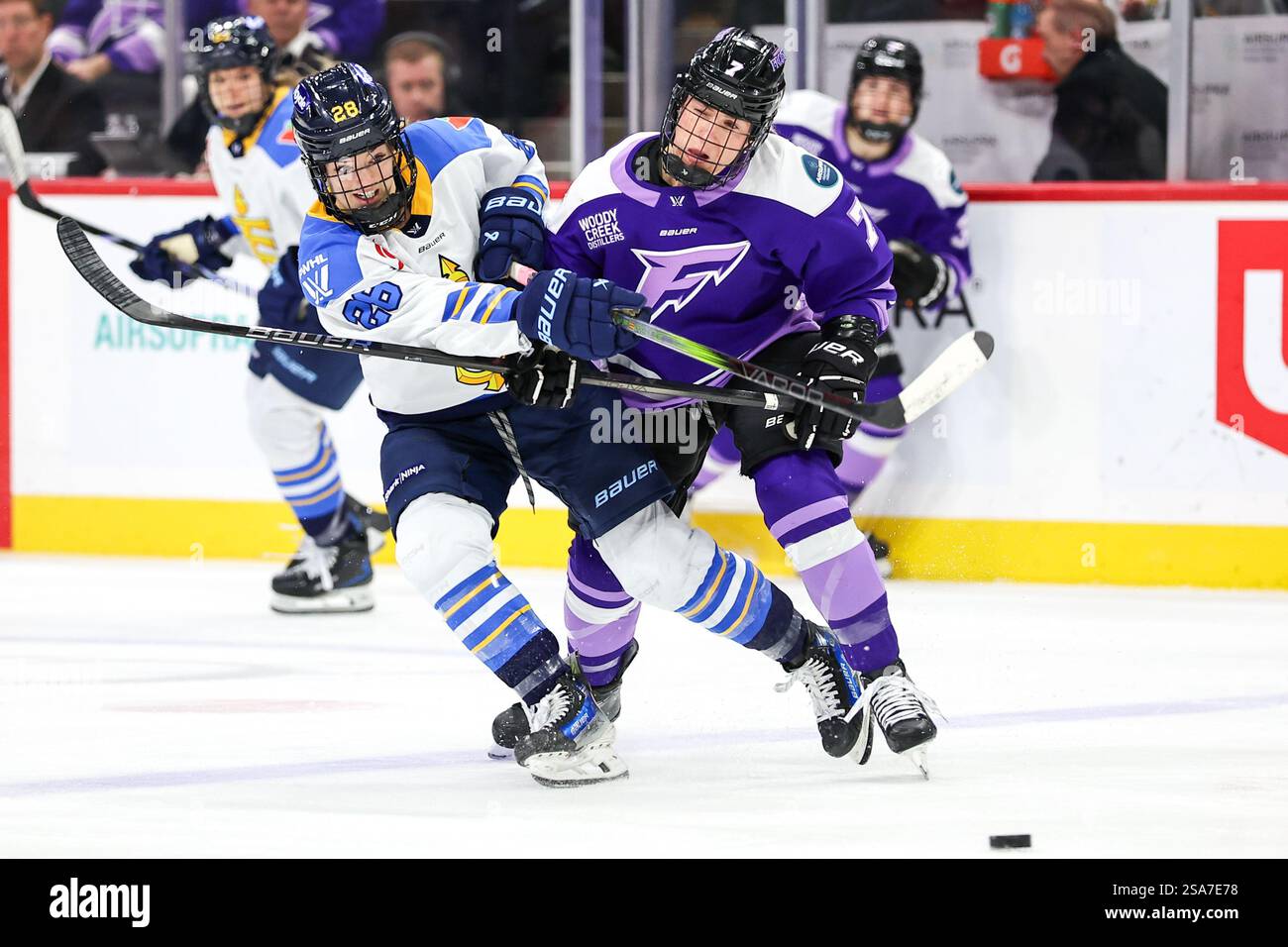 Butorac hi-res stock photography and images - Alamy