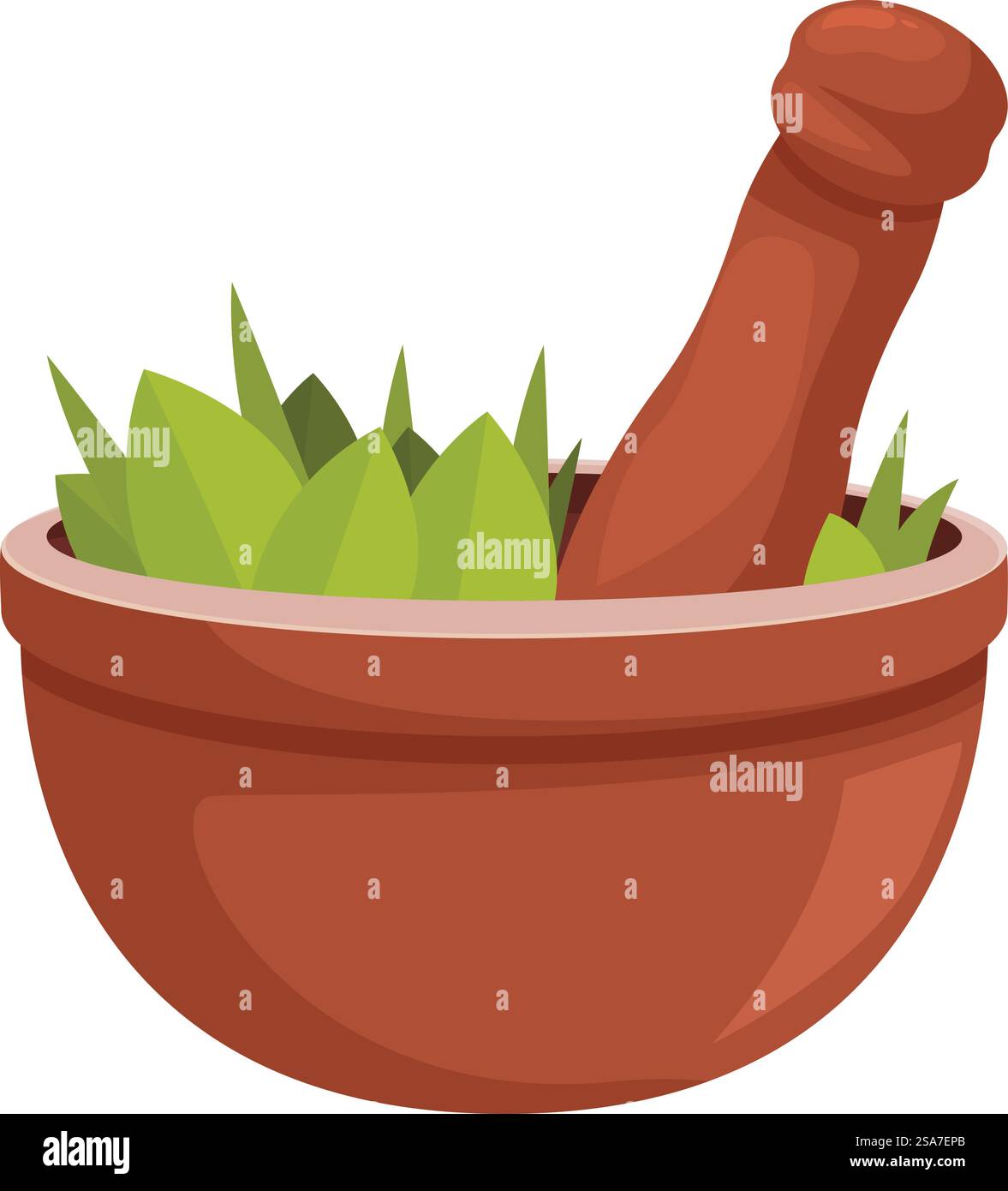 Clay mortar and pestle are filled with fresh herbs, ready to be ground ...