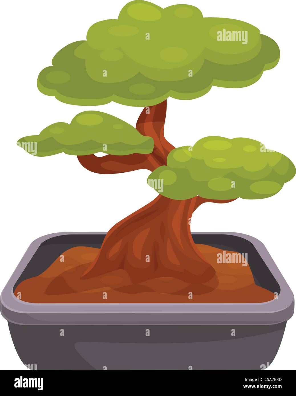 Small bonsai tree with lush crown growing in rectangular pot filled ...