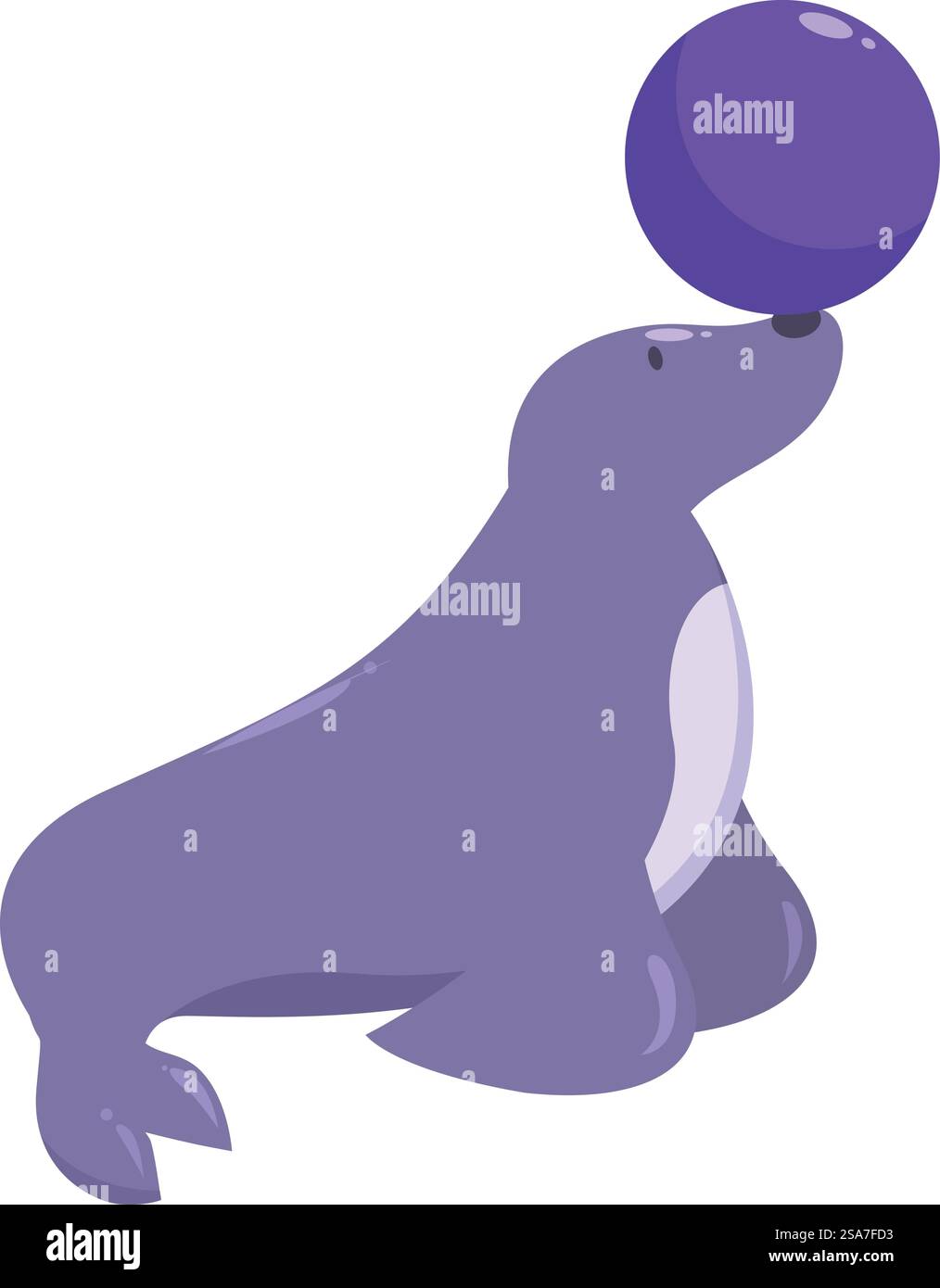 Circus seal balancing a purple ball on its nose, performing a trick ...
