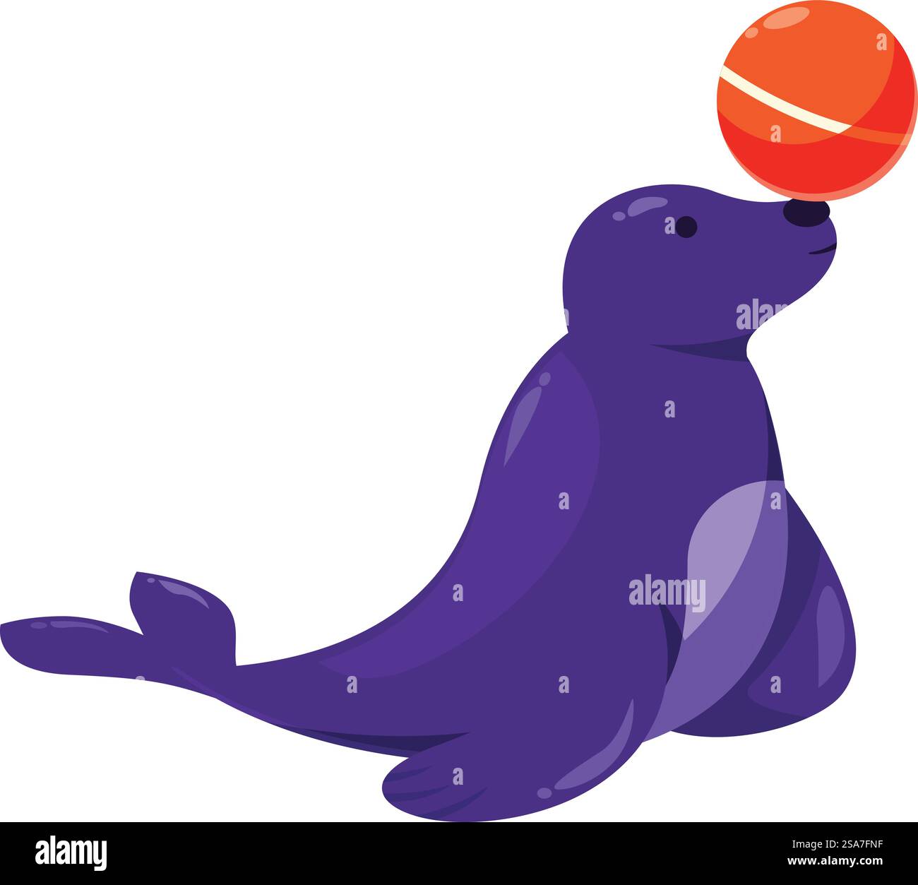 Trained fur seal balancing ball on nose performing in circus show ...