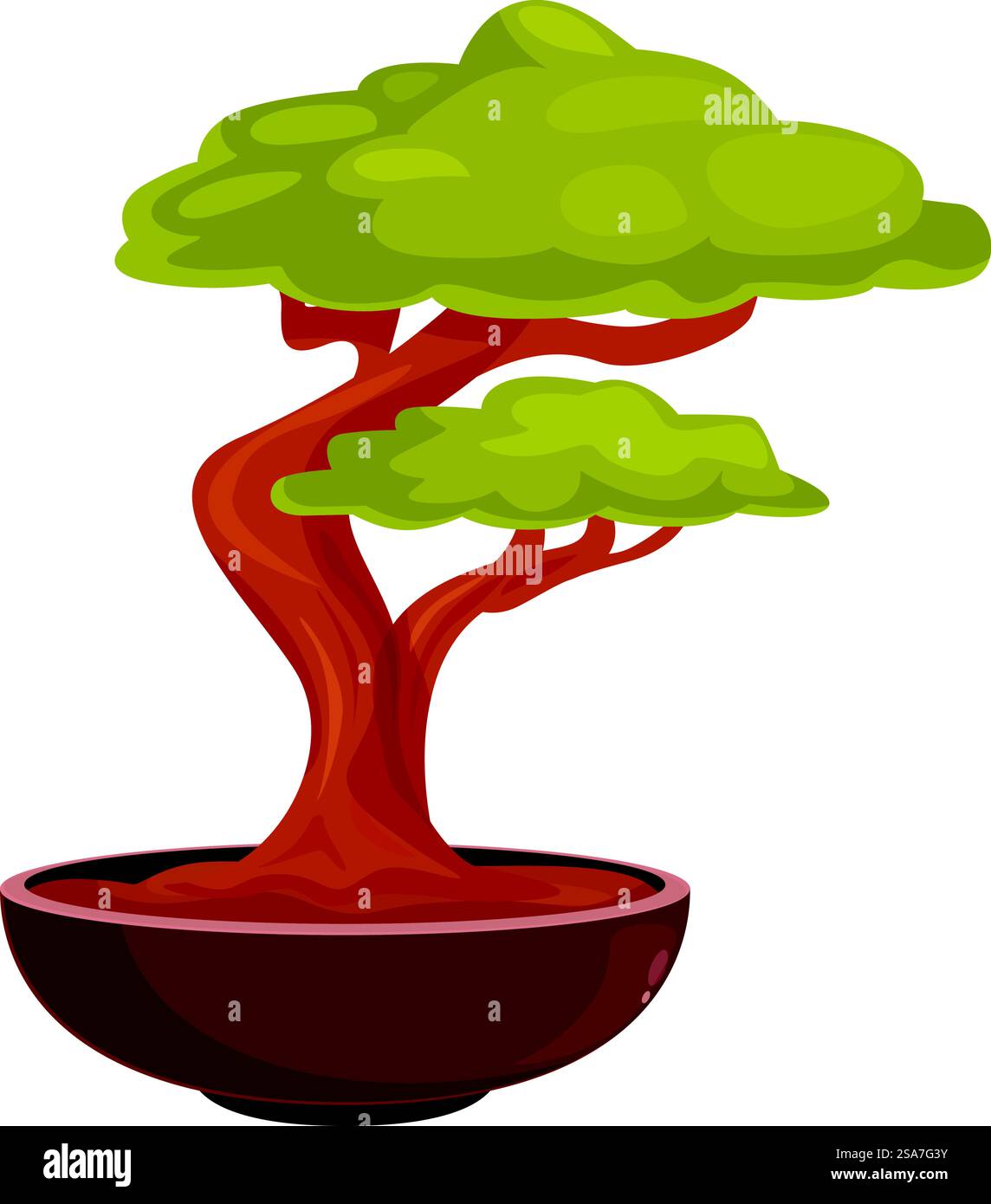 Small bonsai tree with a lush crown growing in a pot, an example of ...