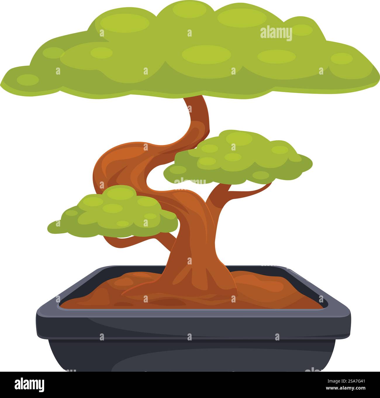 Cartoon bonsai tree with green foliage growing in a pot, traditional ...