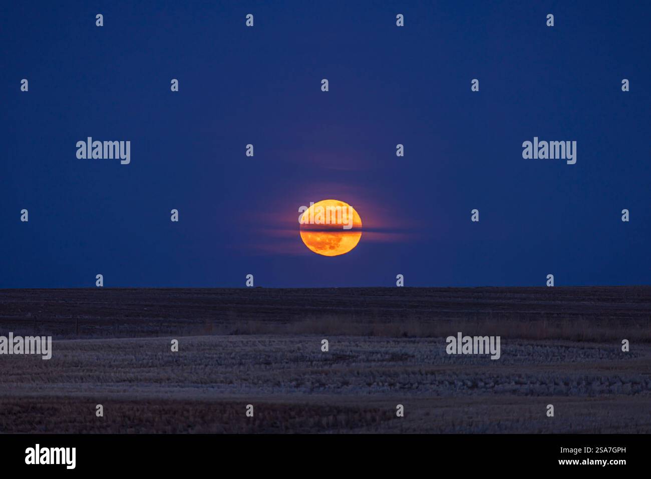 Rising Full Moon of 23 April 2024 over a prarie. The April Full Moon ...