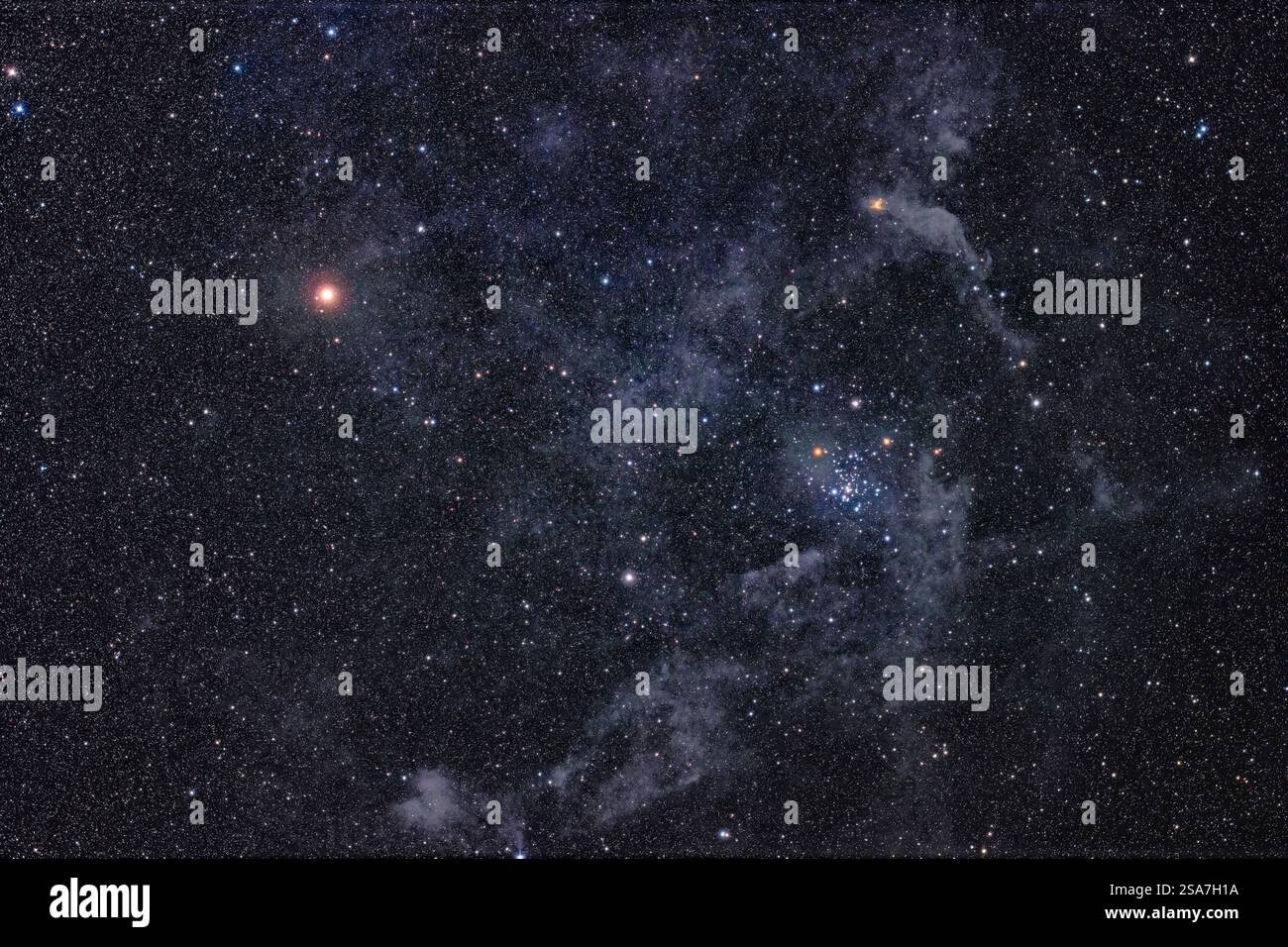 Bright, large star cluster NGC 2516 in constellation Carina, aka the Southern Beehive Cluster ...