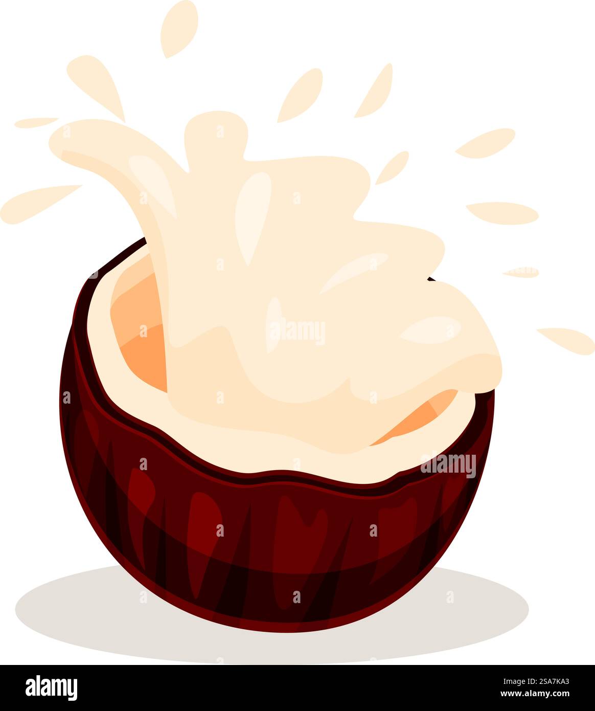 Coconut milk splashing out of a cracked coconut shell. Coconut milk ...