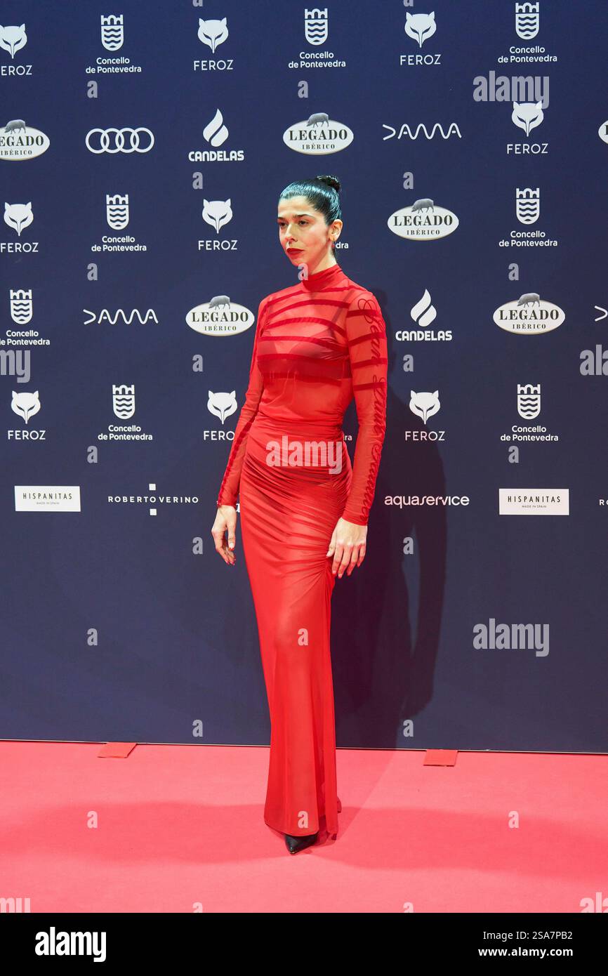 Julia de Castro attends 'Feroz Awards' 2025 Red Carpet at Pazo de la ...