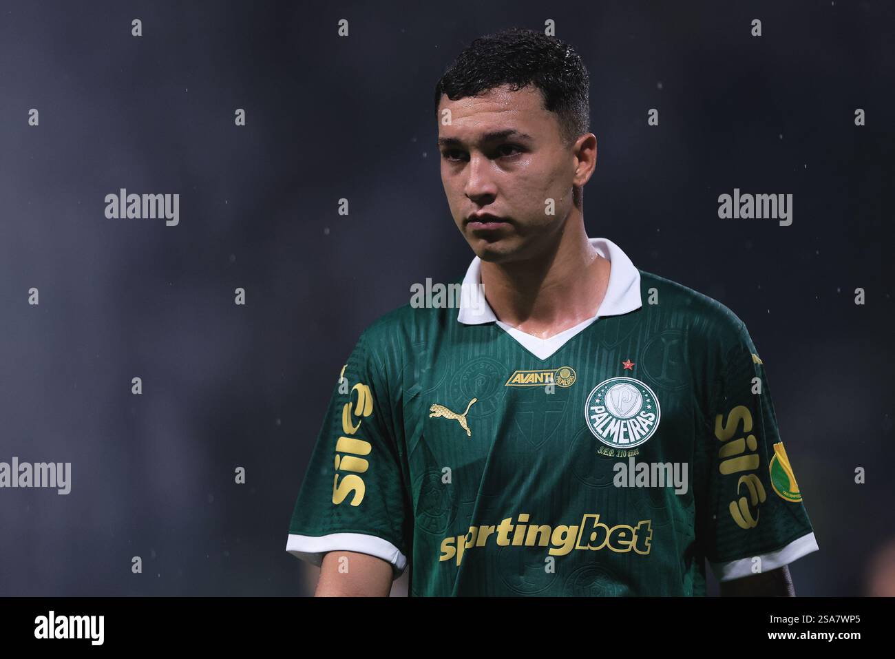 Sao Paulo, Brazil. 28th Jan, 2025. SP - SAO PAULO - 01/28/2025 ...