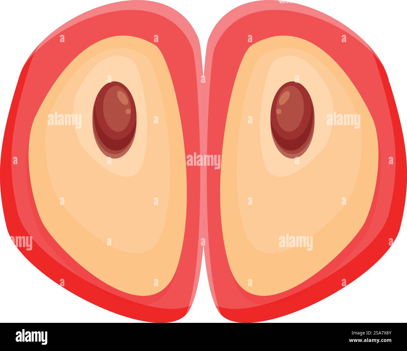 Red apple cut in half showing seeds inside on white background. Red ...