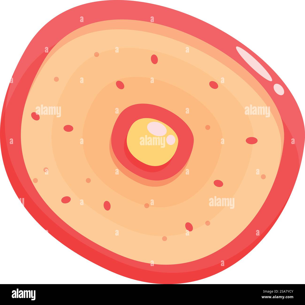 Ovum cell is being fertilized by sperm cell, close up view on white ...