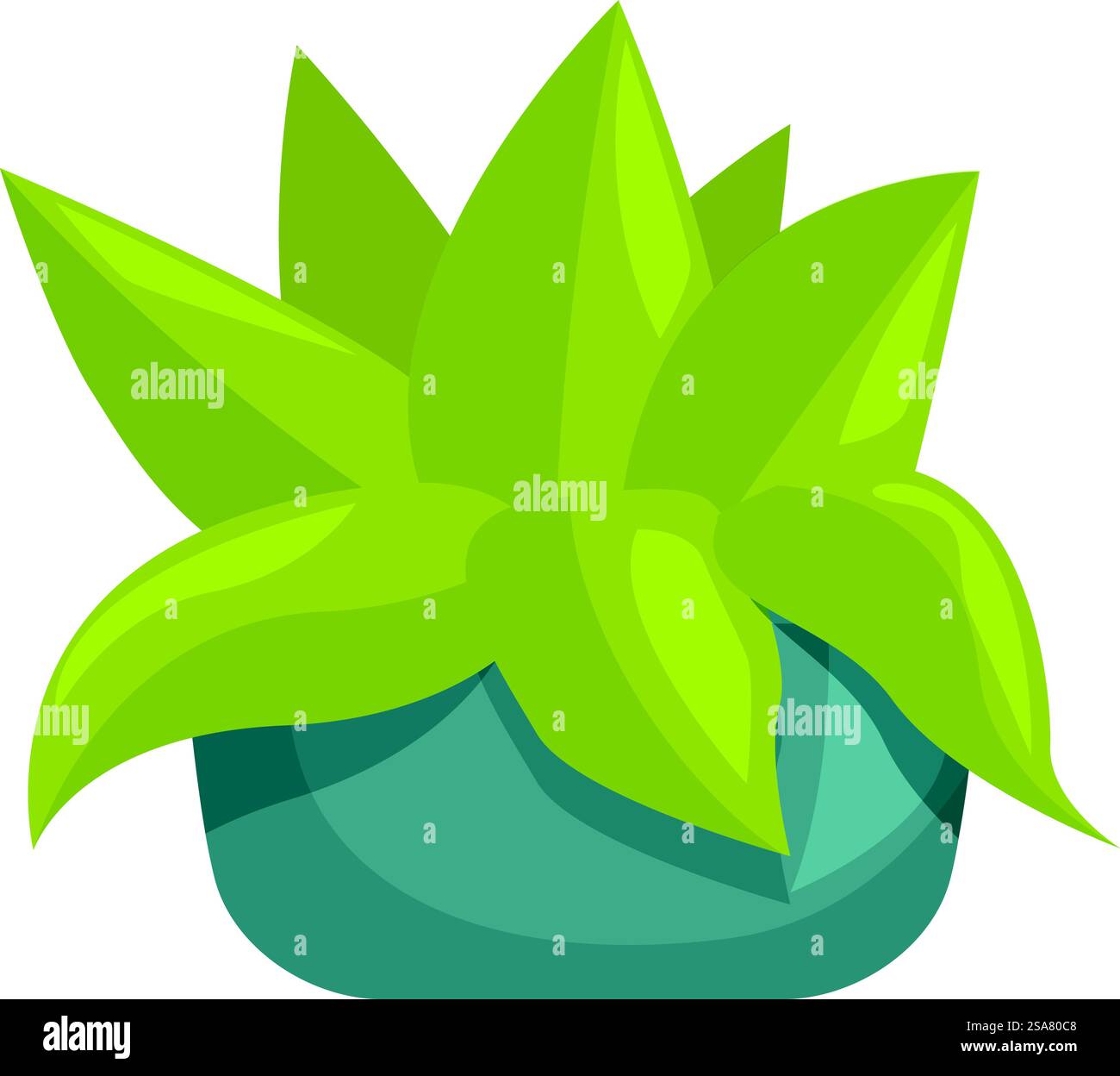 Sharp pointed agave plant Stock Vector Images - Alamy