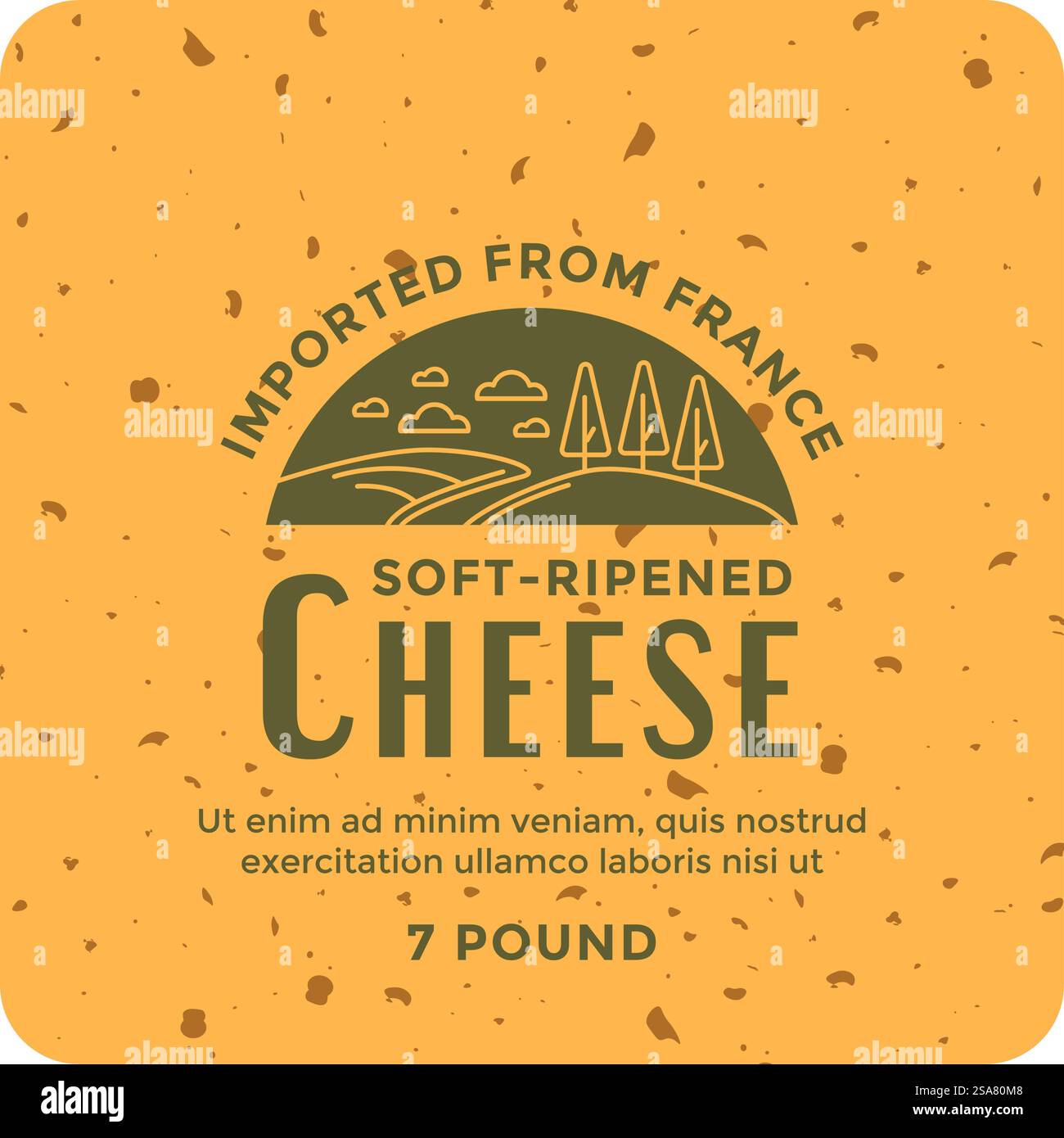 Tasty organic cheese imported from France. Delicious dairy meal or ...