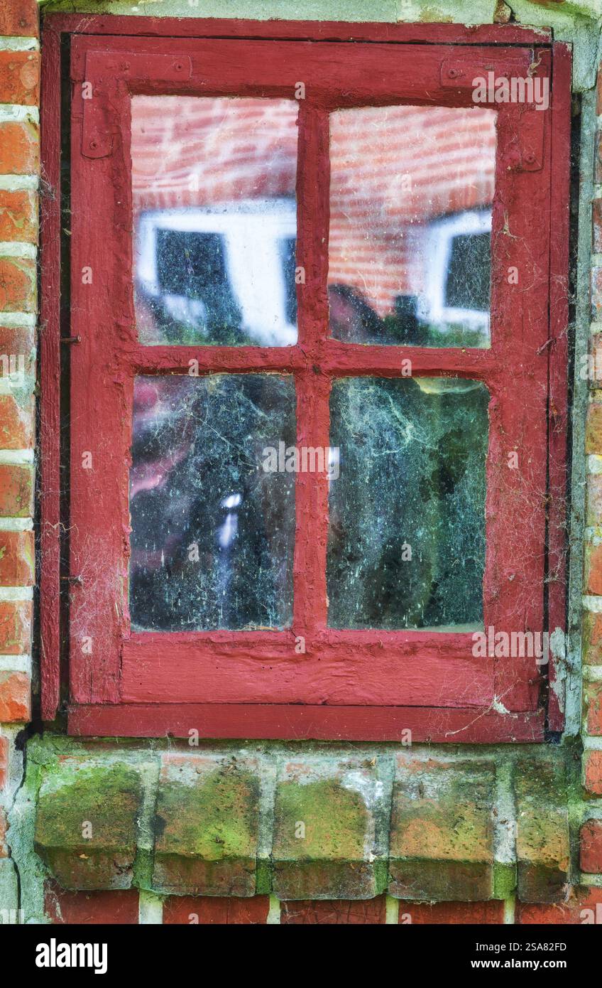 Dirt, window and frame with green moss of abandoned house, damaged ...