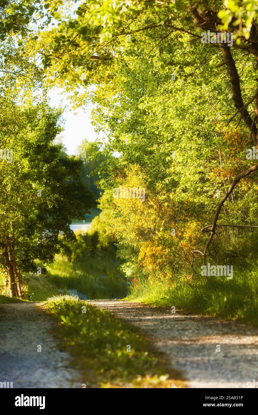 Nature, dirt road and countryside for travel, land and perspective for ...