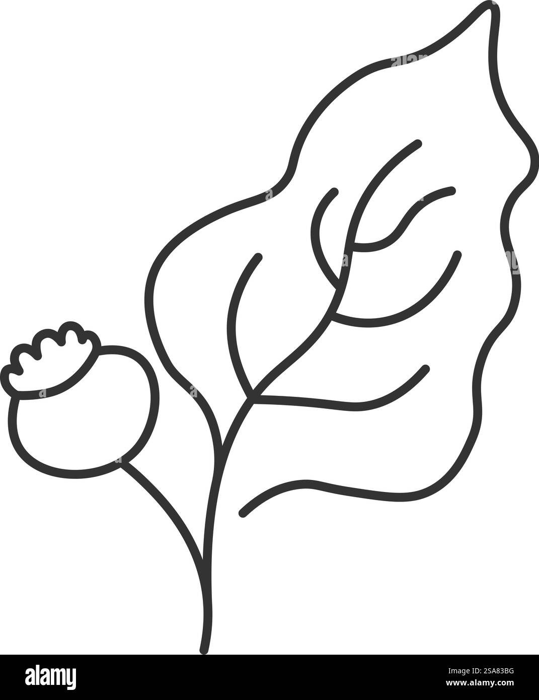 Stem with leaf and bud, drawing of plant. Organic and natural product ...