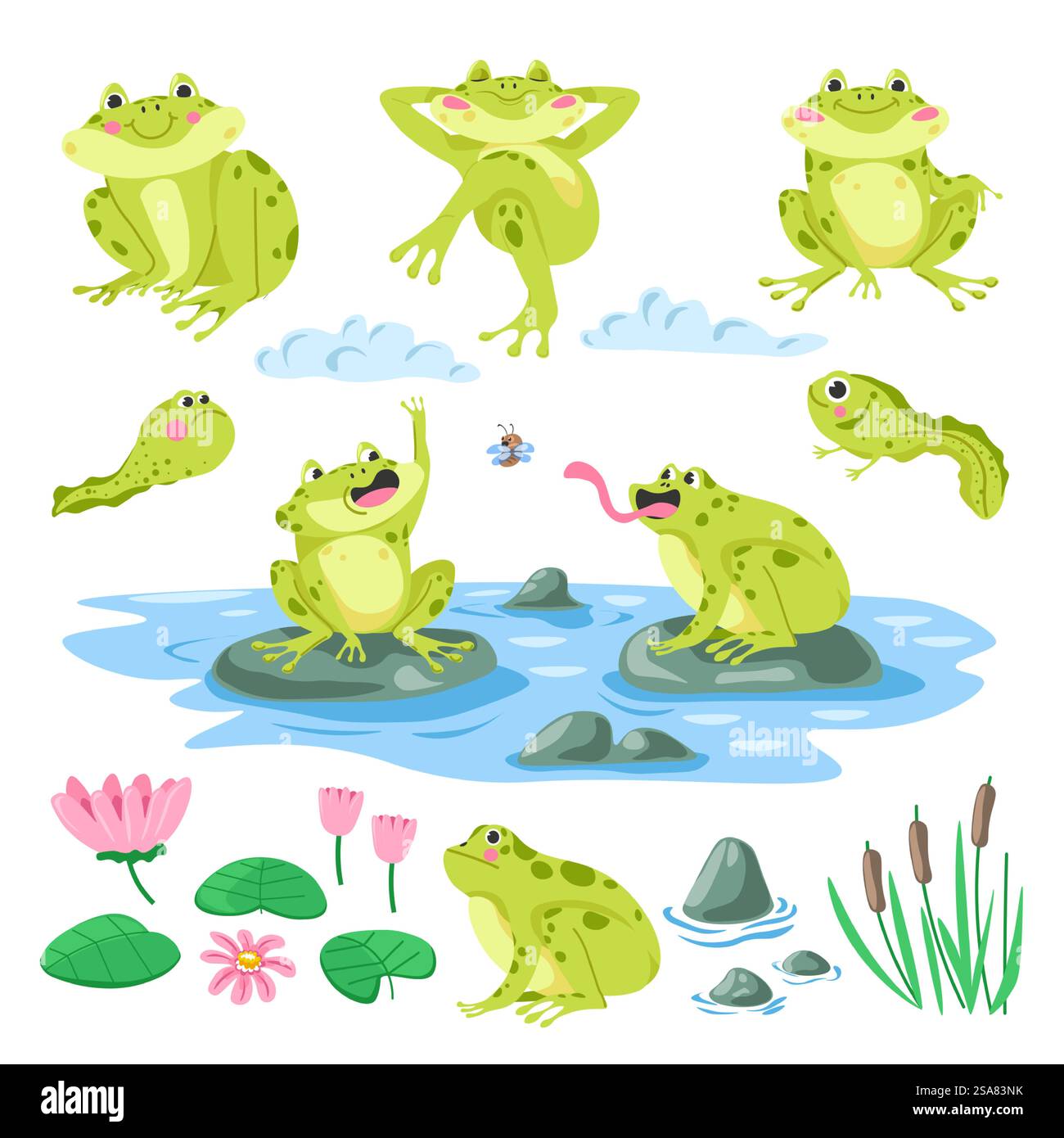 Cartoon frogs nature habitat. Cute amphibian, tadpoles, toads sitting ...