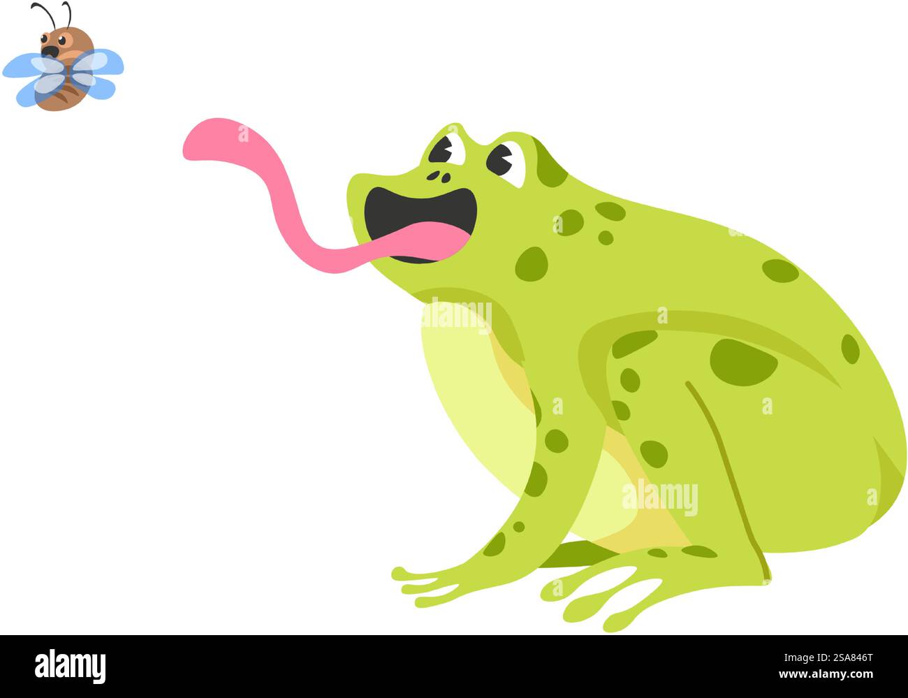 Frog sitting with open mouth trying to catch fly with long tongue ...