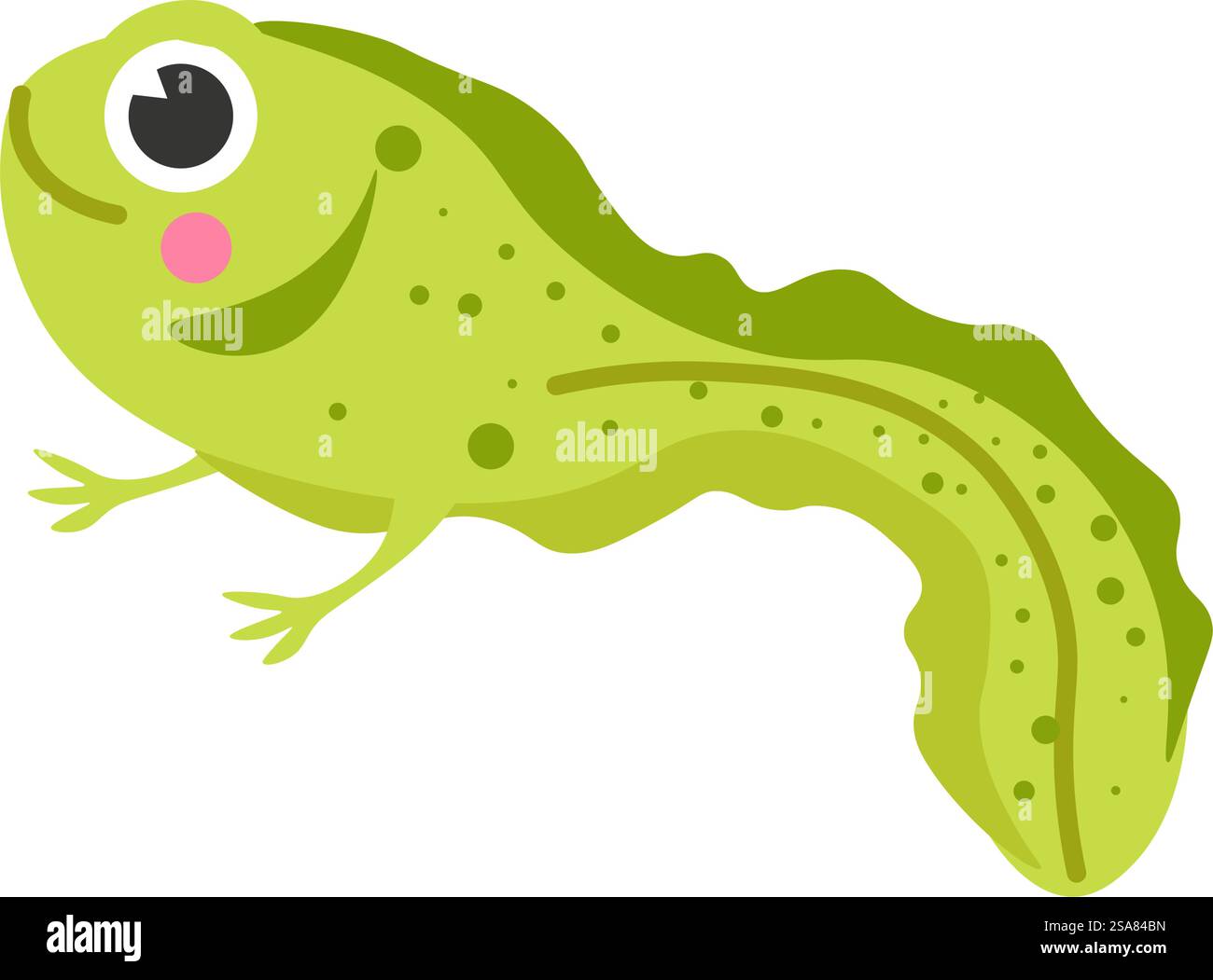 Cute tadpole or polliwog swimming in water. Little baby frog floating ...