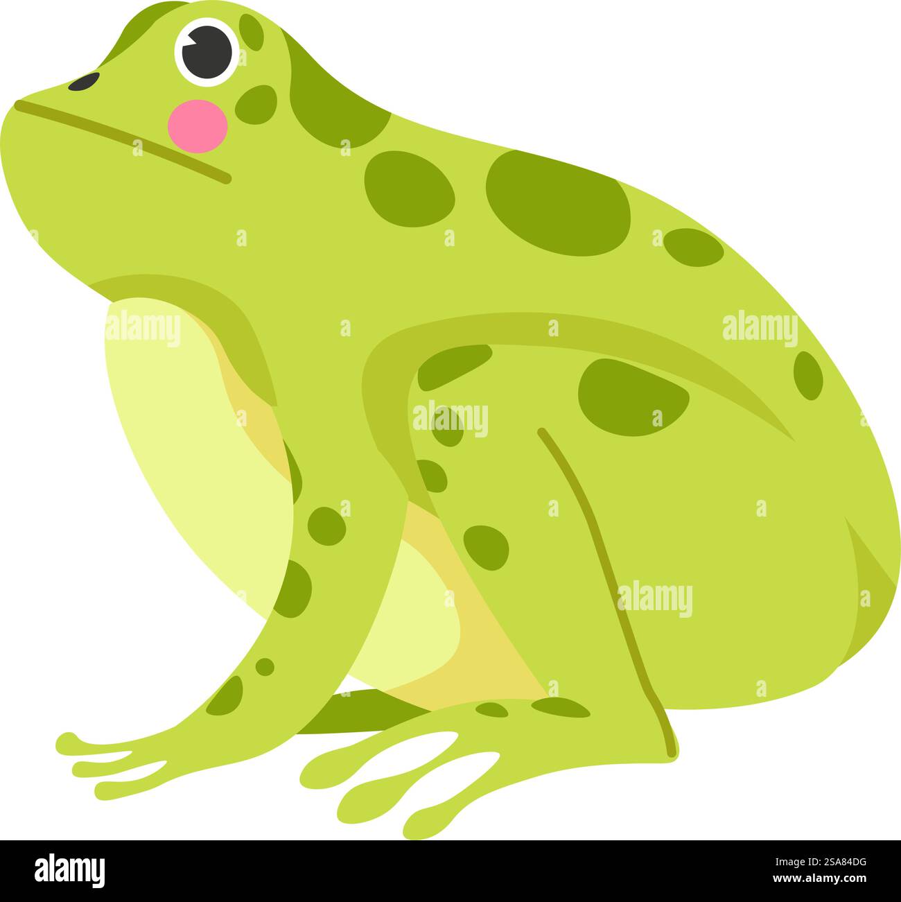 Frog or toad sitting, aquatic reptile with spots on skin, nature and ...