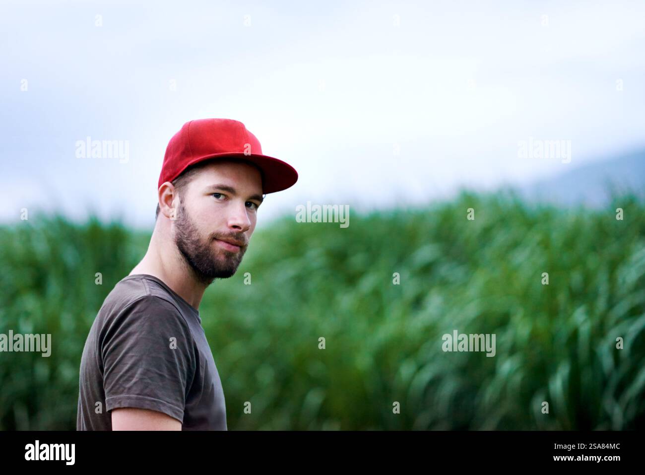 Sustainable farming, confidence and portrait of man in field with corn ...