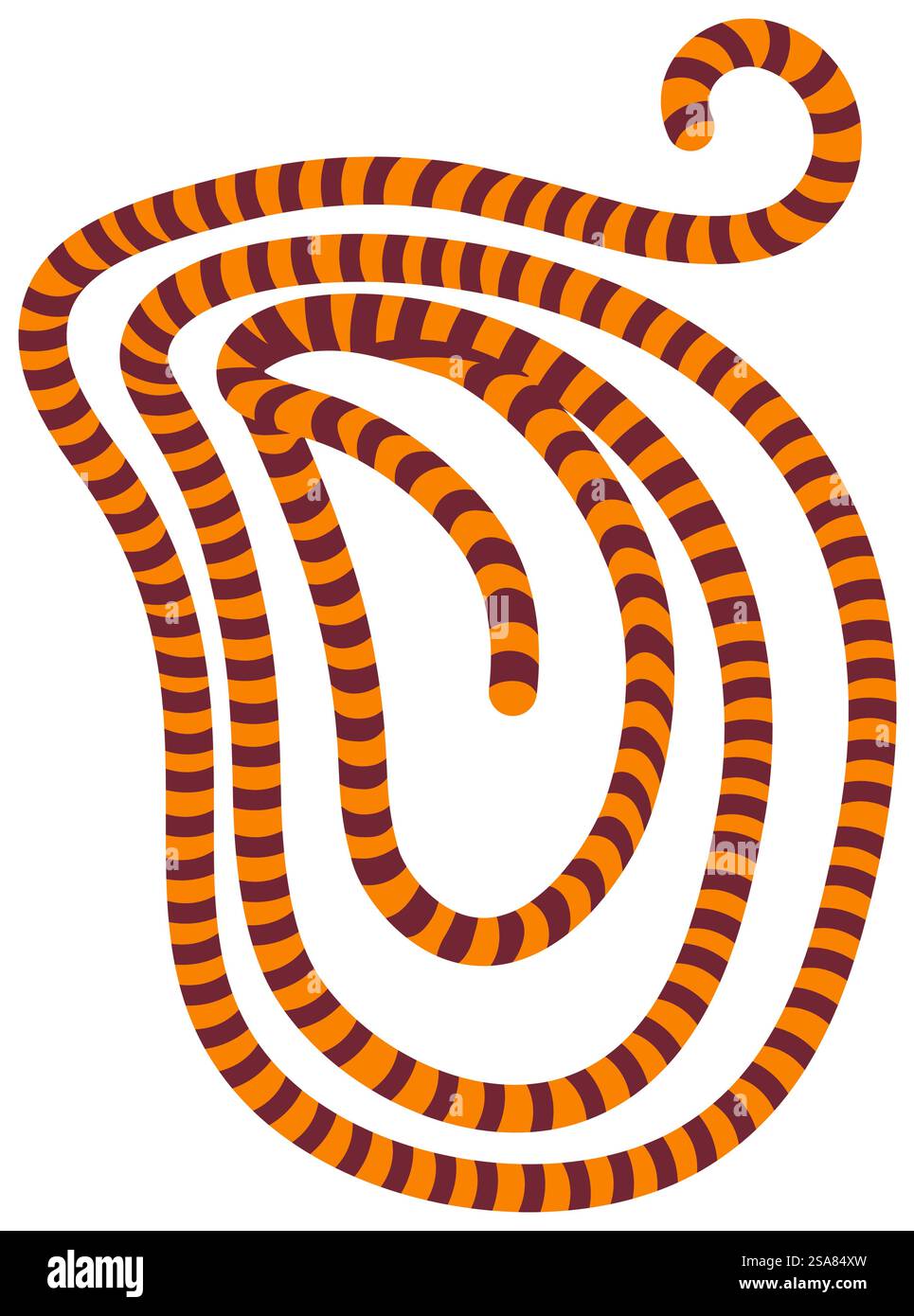 Vector illustration of a coiled snake with orange and black stripes ...