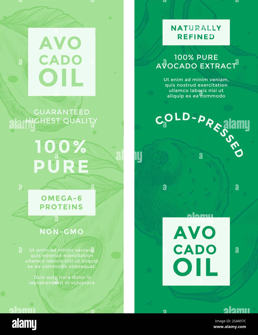 Organic cold-pressed avocado oil, modern vector illustration, perfect ...