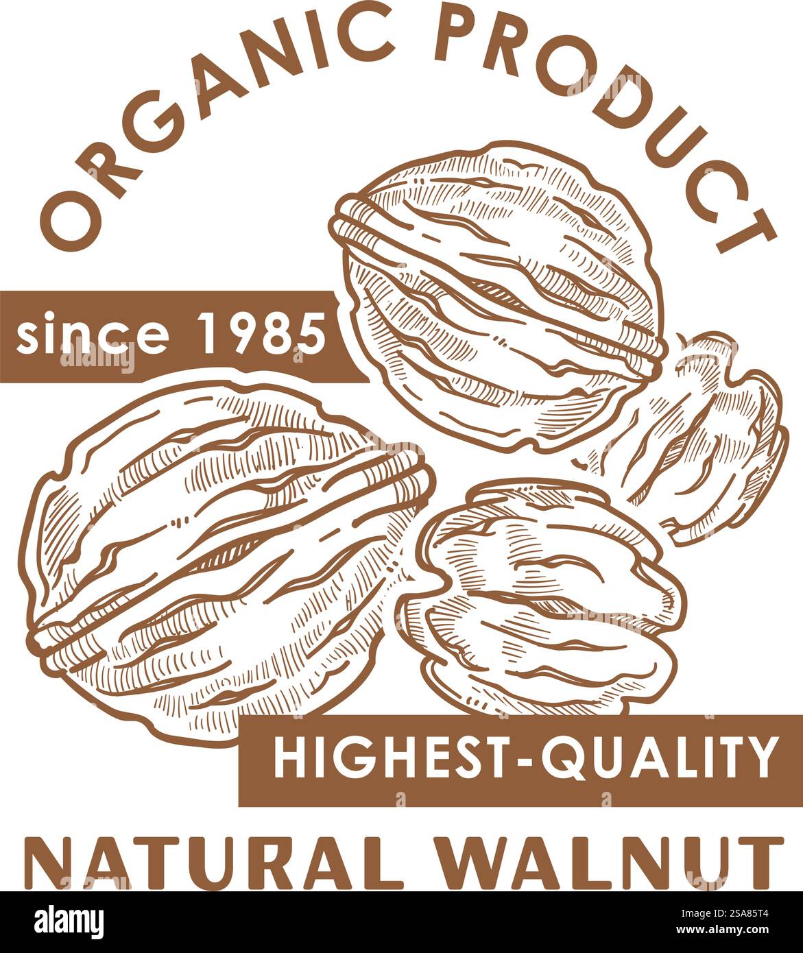 Delicious and nutritious walnut for gourmets, vegetarians ...
