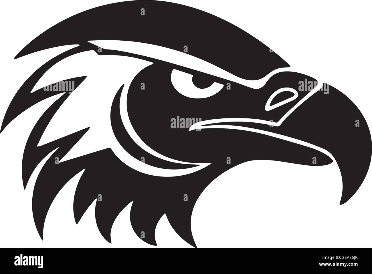 Black and white vector illustration of an intense eagle head, isolated ...