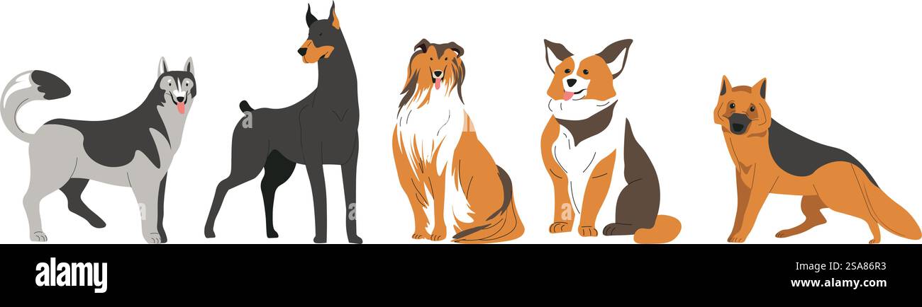 Vector set of large breed dogs in a flat style, isolated on white ...