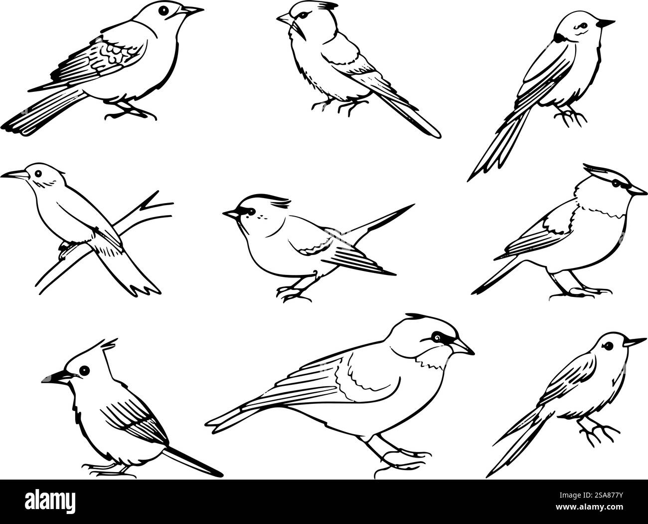Set of Line art of a flying bird, dynamic pose, vector illustration ...