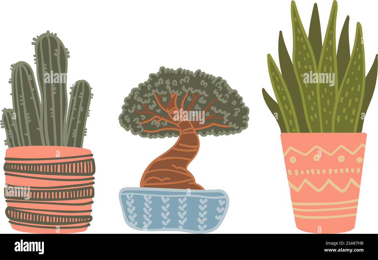 Collection of indoor plants in decorative pots, vector illustration ...
