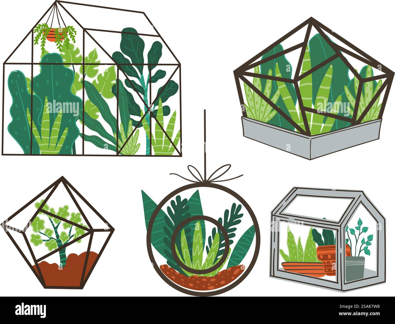 Artistic vector representation of greenhouse terrariums filled with ...
