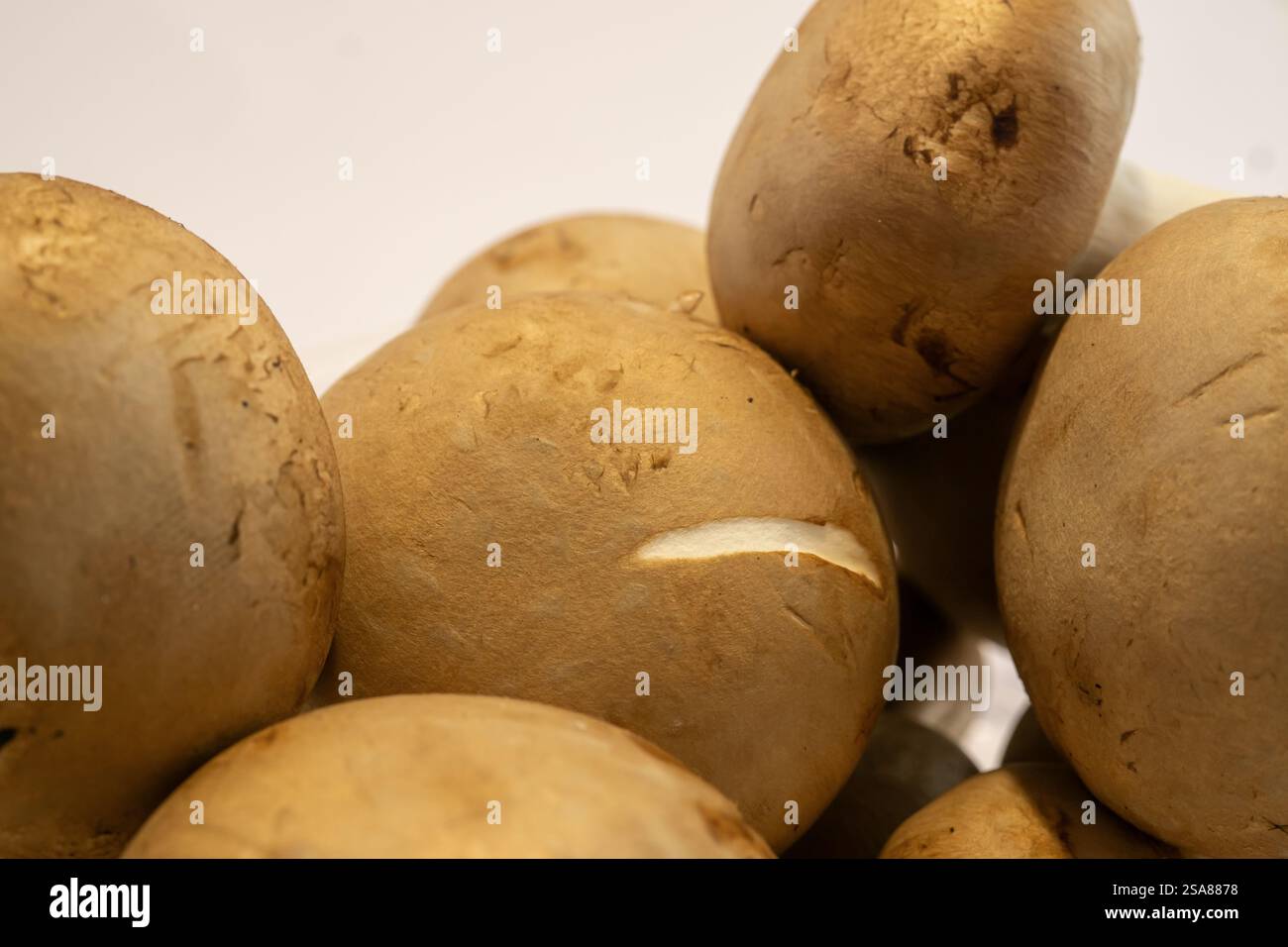 brown button mushroom close up macro photo Stock Photo - Alamy