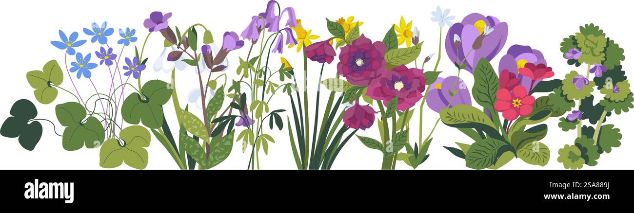 Illustration featuring a variety of colorful spring flowers and leaves ...