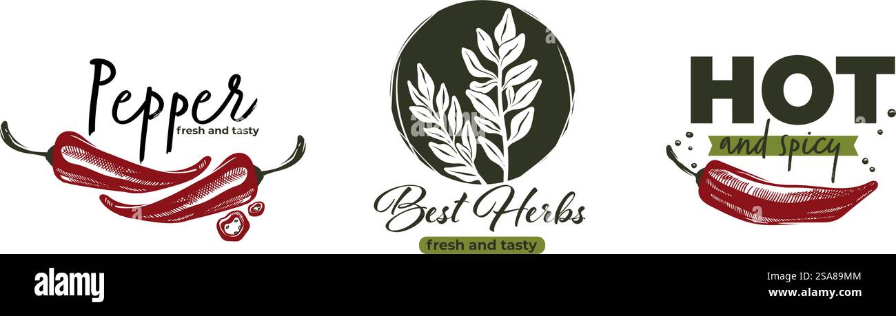 Vector set of logos featuring herbs and spices with text. Isolated on ...