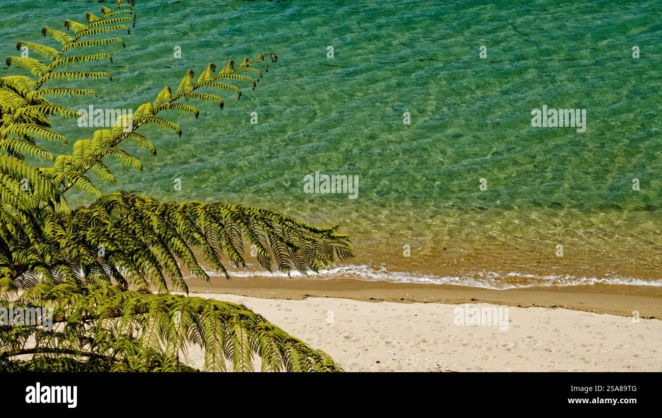 The view to a beach from the Abel Tasman Coastal Track, Abel Tasman ...