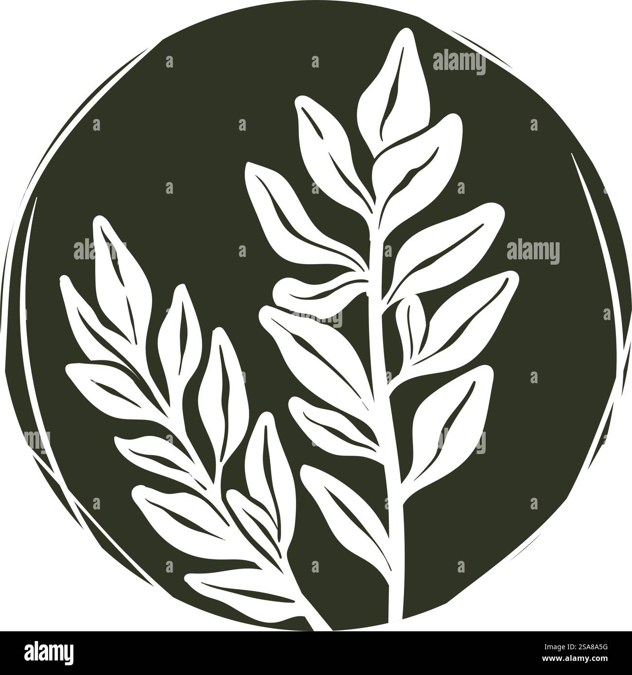Elegant illustration of herbs within a circle design. Hand drawn style ...