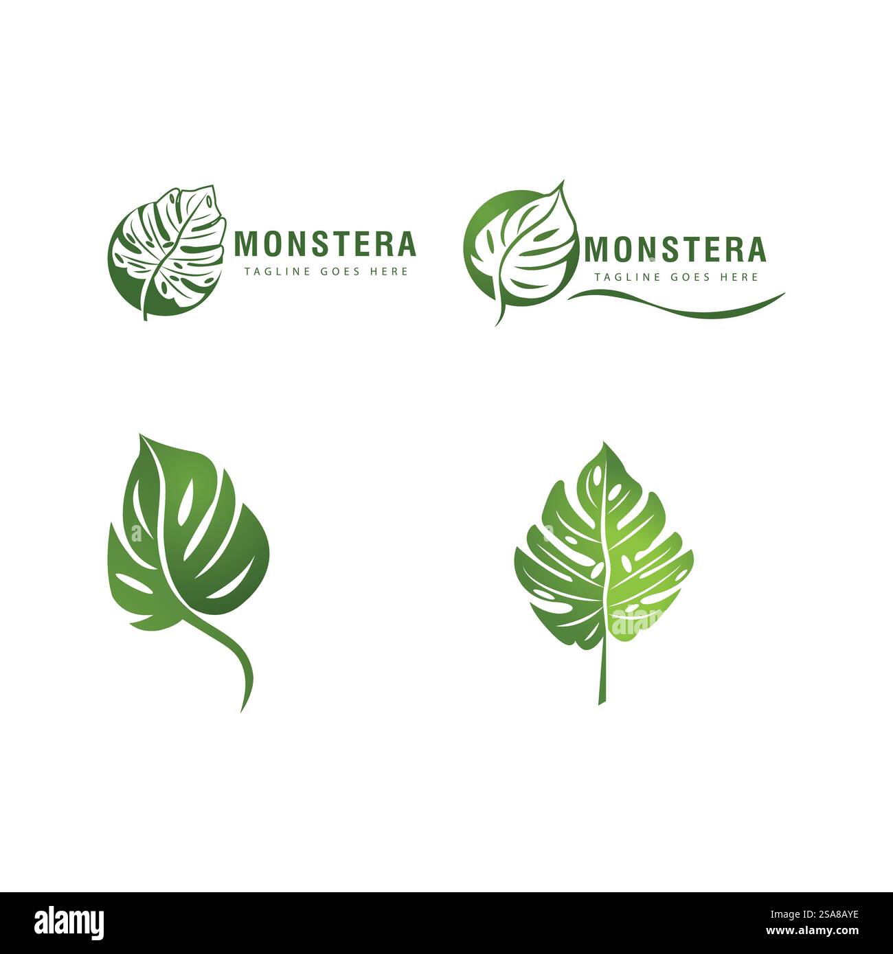 Monstera logo vector template symbol design Stock Vector Image & Art ...