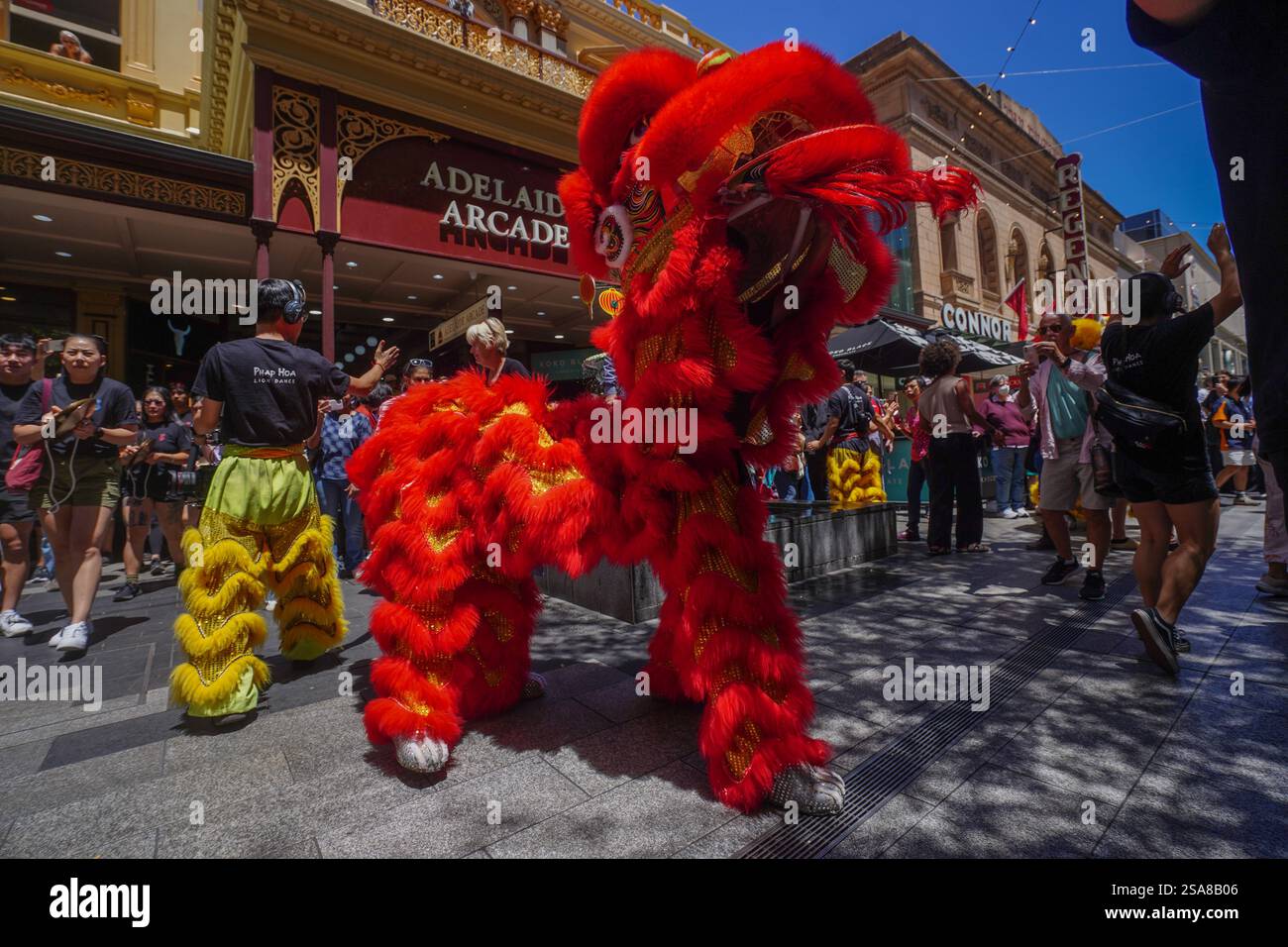 Adelaide, Australia 29 January 2025. Crowds are entertained by lion ...