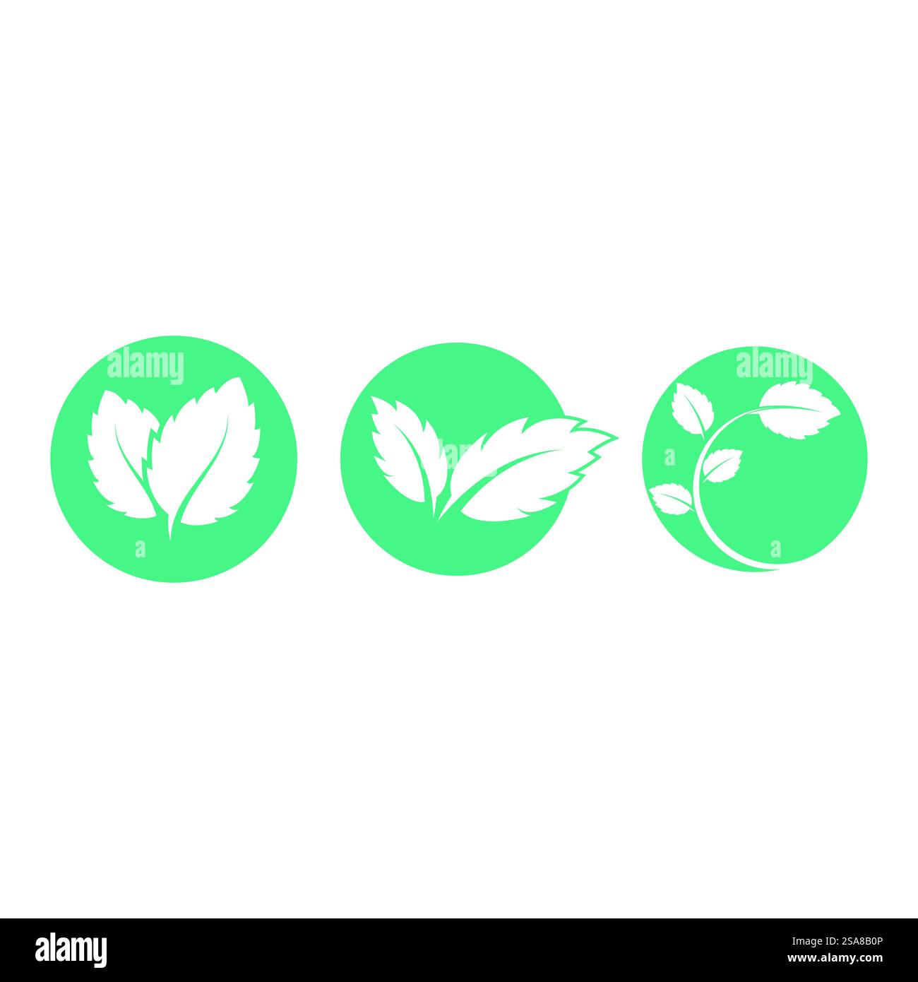 Mint leaves flat vector color icon template illustration design Stock ...