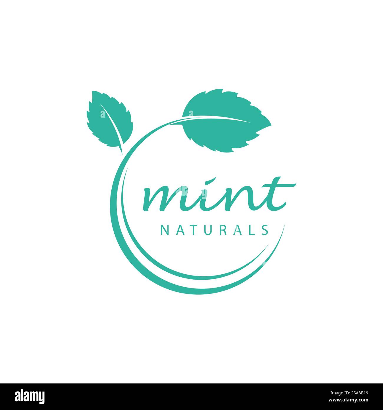 Natural leaf mint logo vector template symbol design Stock Vector Image ...