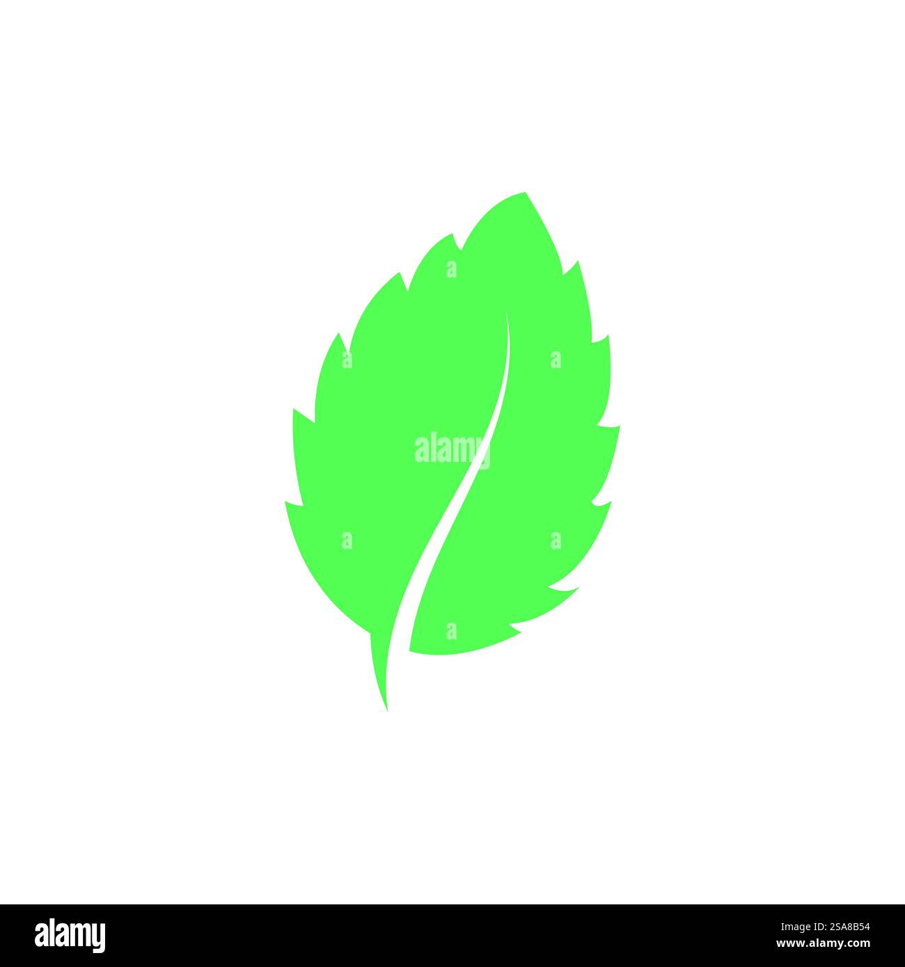 Natural leaf mint logo vector template symbol design Stock Vector Image ...