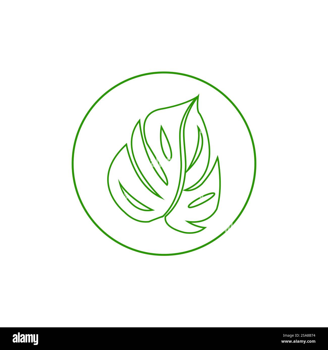 Monstera logo vector template symbol design Stock Vector Image & Art ...