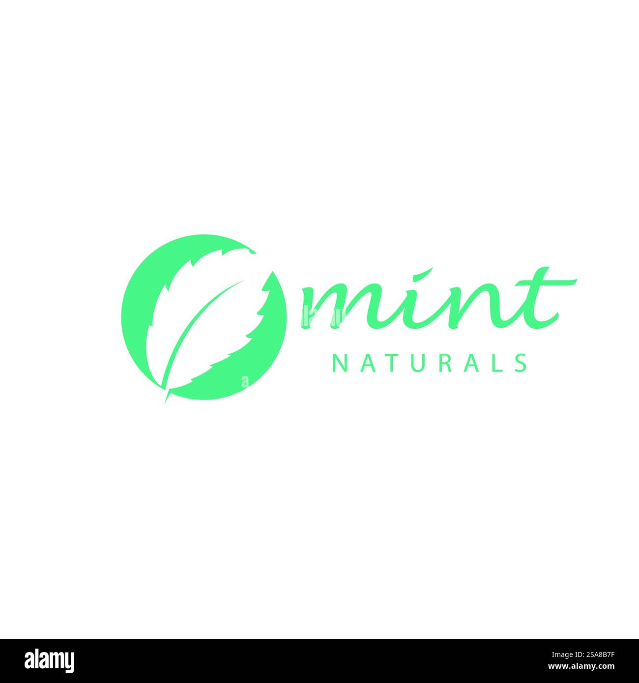 Natural leaf mint logo vector template symbol design Stock Vector Image ...