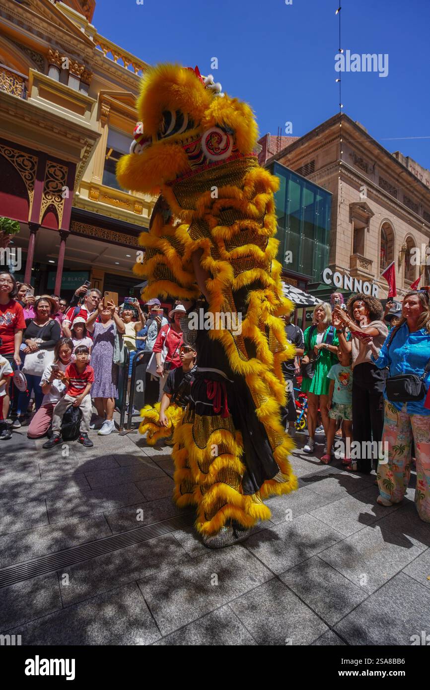 Adelaide, Australia 29 January 2025. Crowds are entertained by lion ...