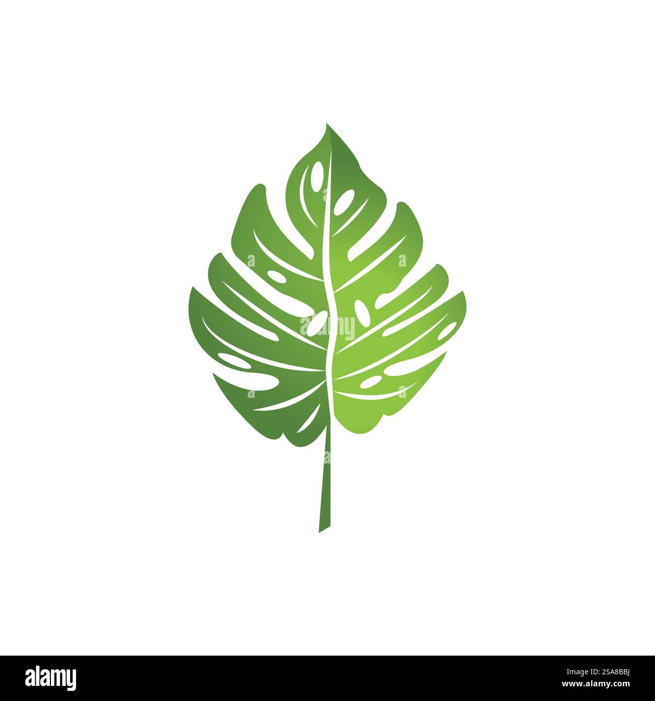 Monstera logo vector template symbol design Stock Vector Image & Art ...