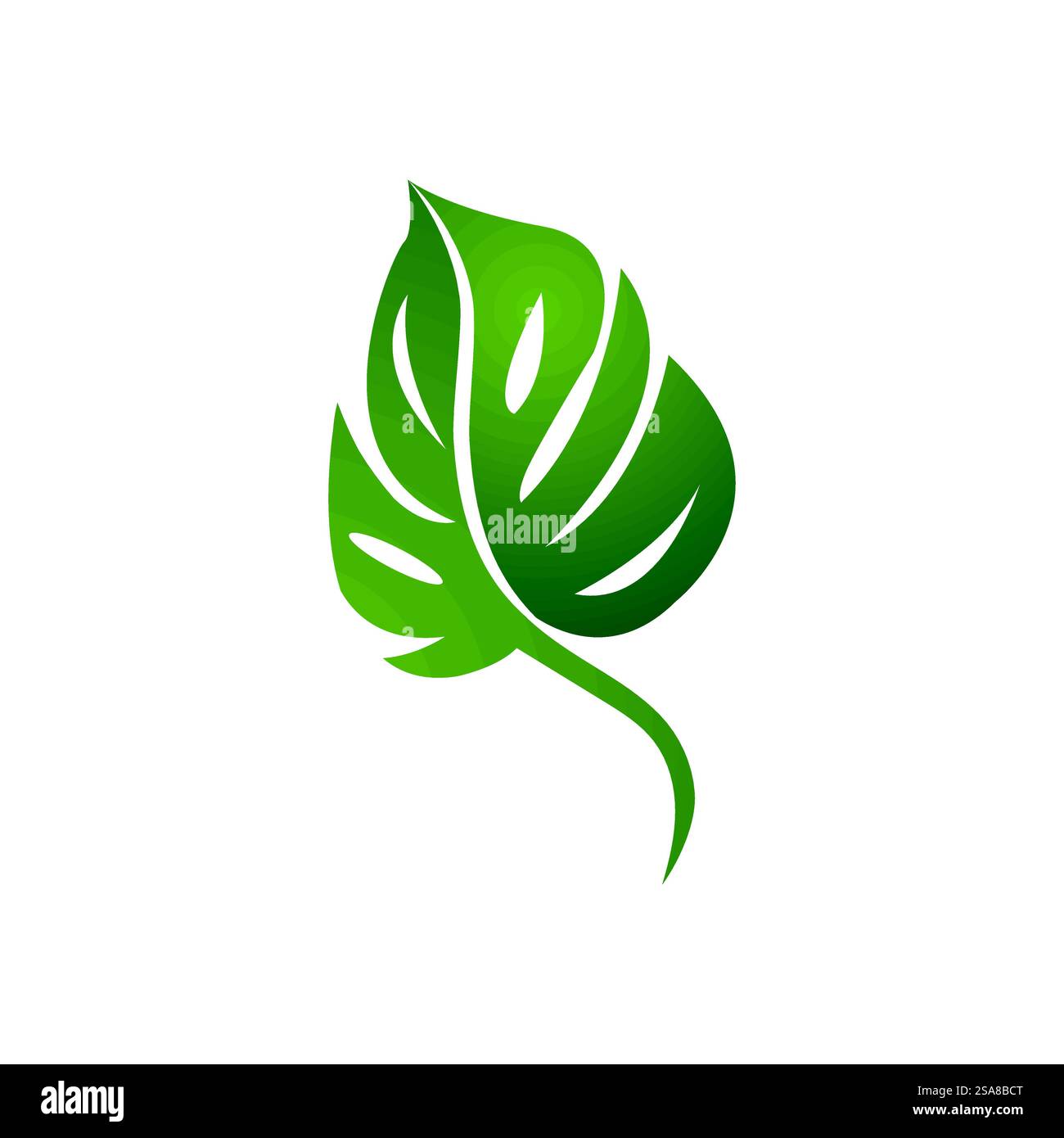 Monstera logo vector template symbol design Stock Vector Image & Art ...